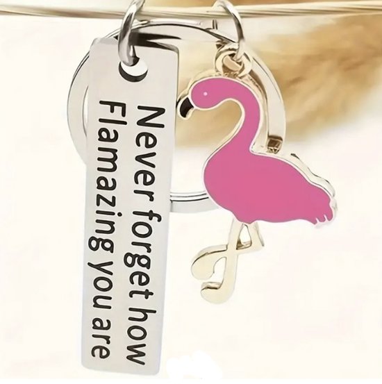 Sleutelhanger - Flamingo - Never Forget How Flamazing You Are - Pride - Roze - Cadeau... | bol