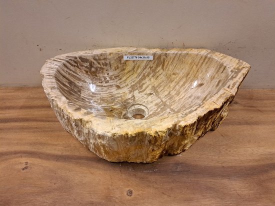 Waskom van versteend hout - 54x31x15cm - FL22776 | bol
