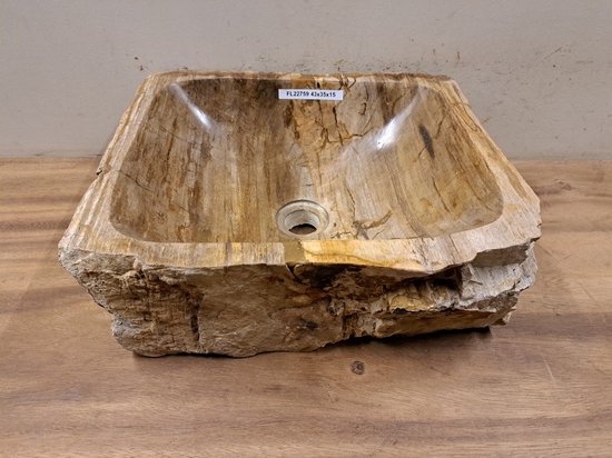 Waskom van versteend hout - 43x35x15cm - FL22759 | bol