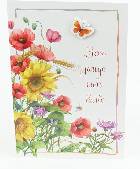 Wenskaart | 6 stuks | ADIOS applicatiekaart liever jarige van harte | bol