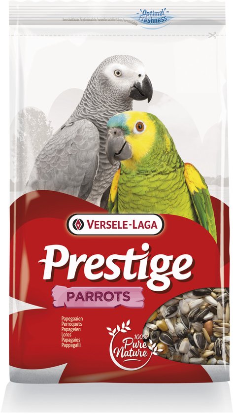 Papegaai voeding | Huisdierpedia