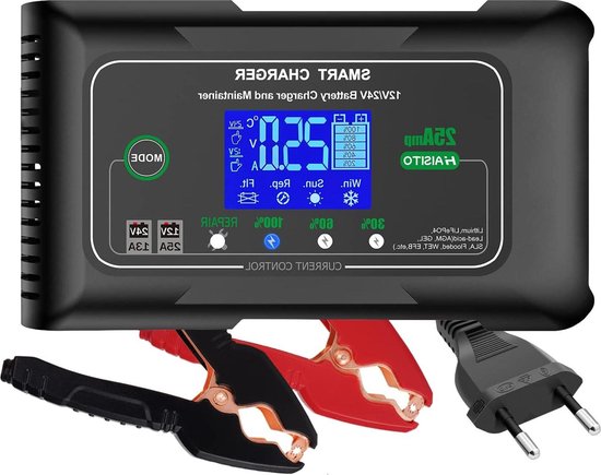 Acculader LiFePO4 12V/24V 25A - intelligente snellader voor auto en ...
