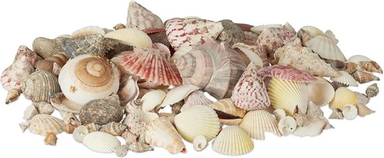 schelpen decoratieve / oceaanschelpen 1 kg | bol