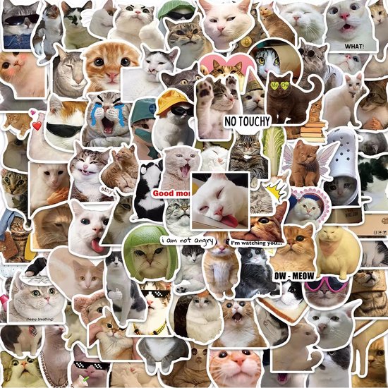 100 Katten Meme stickers - varierende maten vanaf 3 bij 4 tot 4 bij 5cm - Cats - Funny... | bol