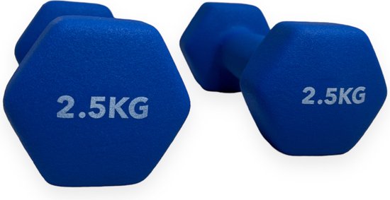 Padisport - Dumbells 2.5 Kg - Halter - Gewichten Set Halters ...