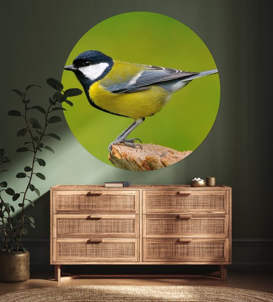 Behangcirkel - Vogel - Koolmees - Groen - Dieren - Zelfklevend behang ...