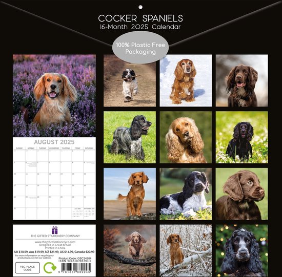 Engelse Cocker Spaniel Kalender 2025 | bol