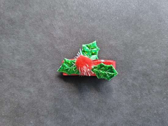 Kerst haarspeld - groene blaadjes | bol.com