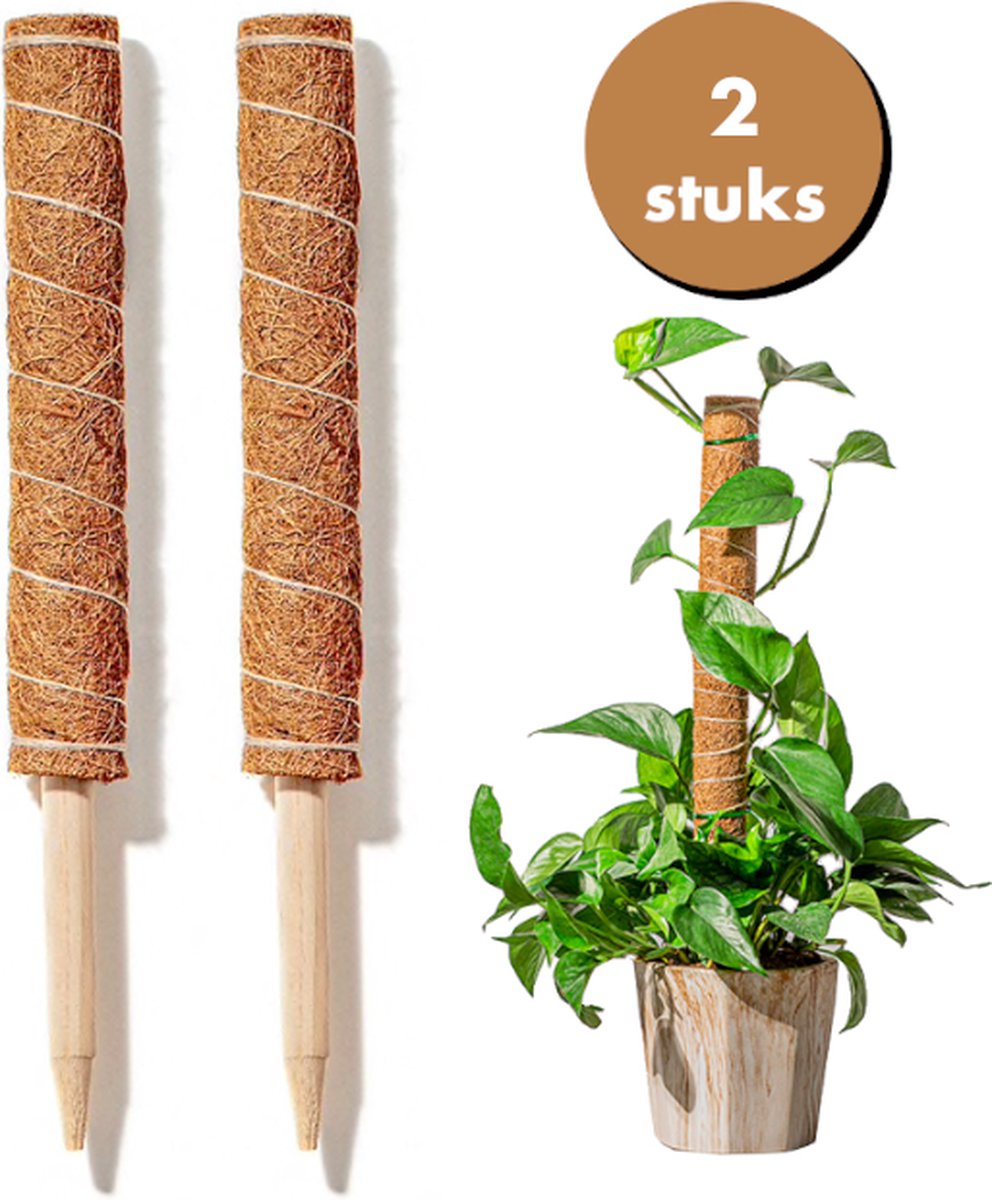 Mosstok - Plantenstok - Mosstok Voor Planten - Verlengbaar - Klimplant ...