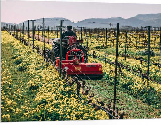 WallClassics - PVC Schuimplaat- Boer op zijn Land aan het Werk - 100x75 cm Foto op PVC... | bol