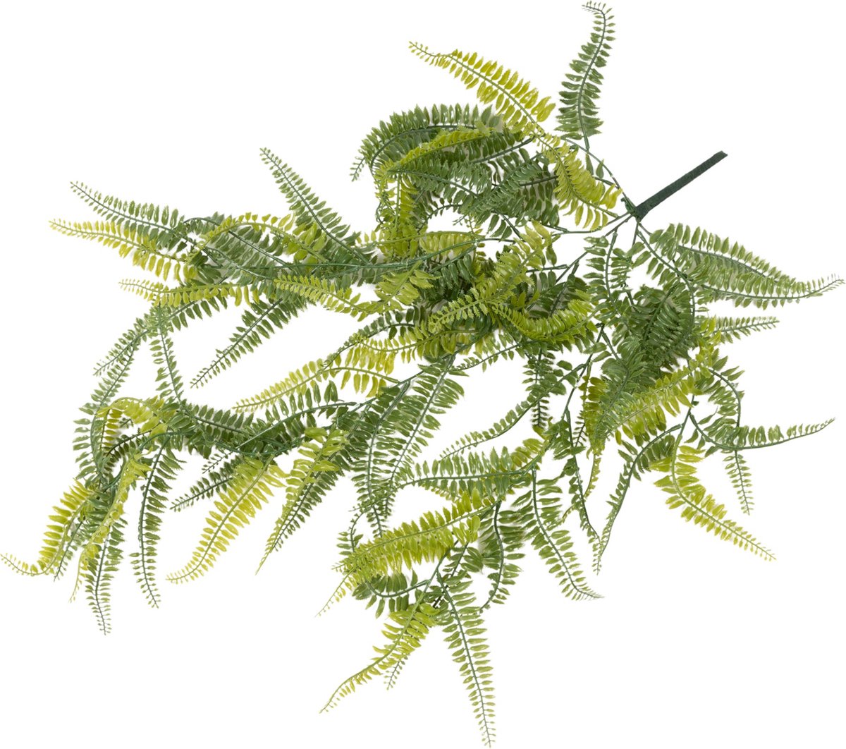 Everplant Kunst Varens Pteropsida 85 cm - Kunstplanten - Kunstplanten ...