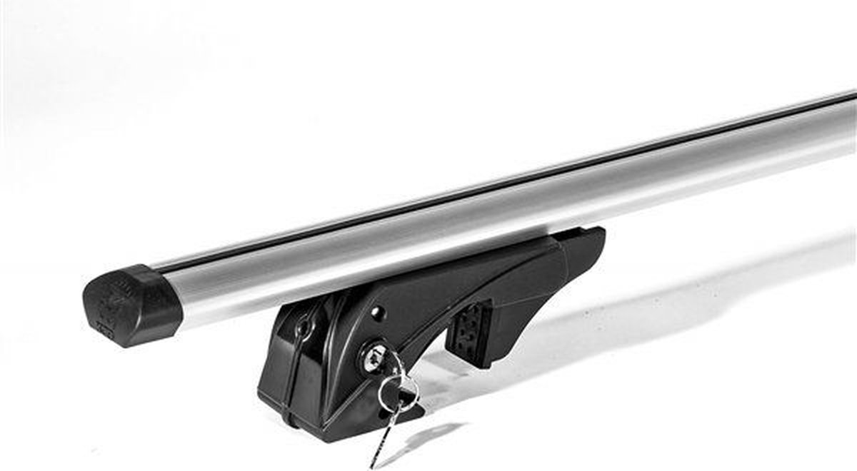 K39 dakdrager Lion - BMW X5 (E70) (2007-2013) | bol.com