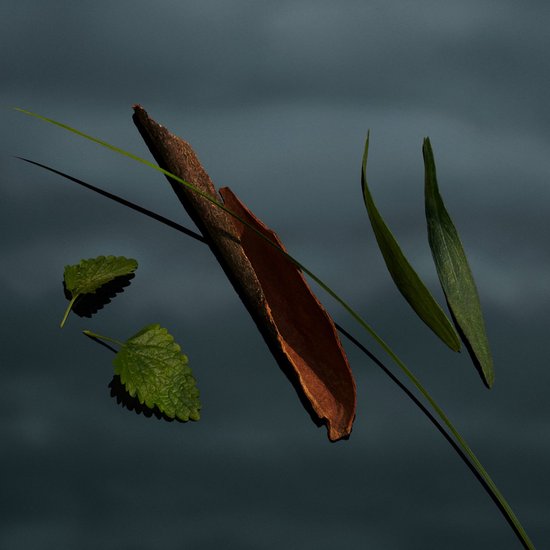 Burberry - Mr.Burberry for Men - Eau De Parfum - 50ML | bol