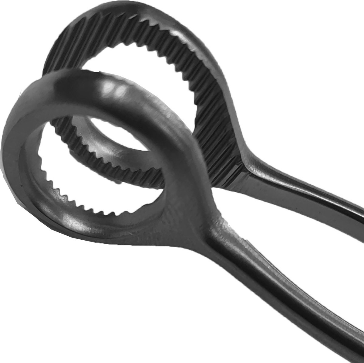 Tongtang Collin - 16cm - tang voor vasthouden tong - tong piercing ...