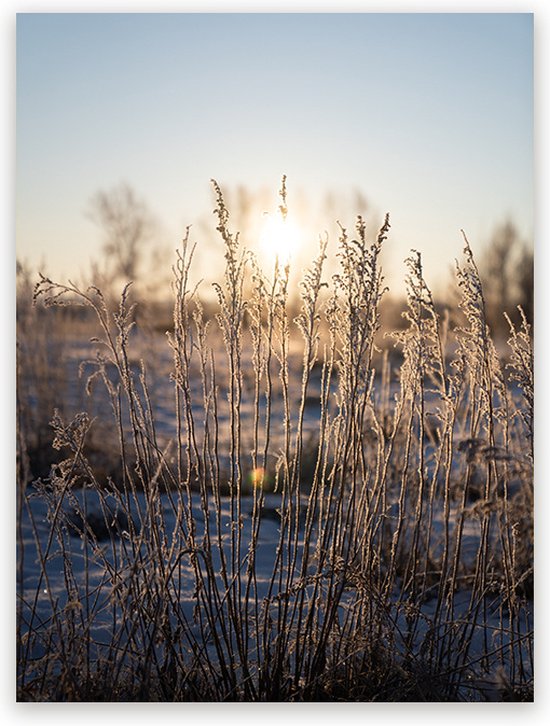 Aluminium Schilderij Winterse Zonsondergang | bol.com