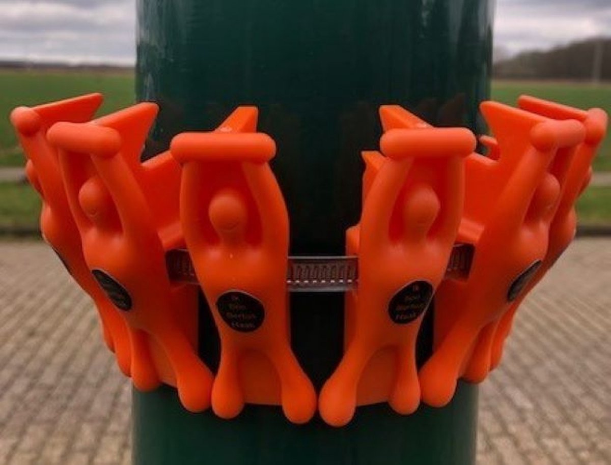 Bertus Haak ring met 6 haken | bol.com