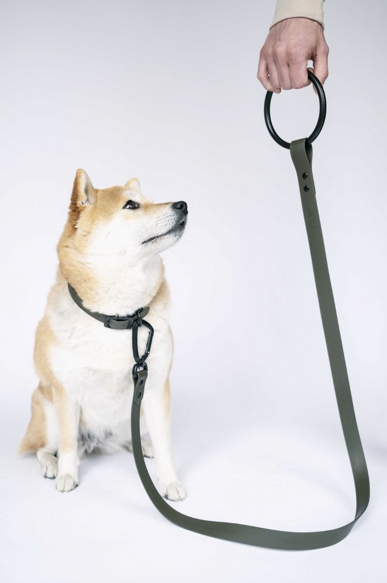 Hondenriem - Hondenlijn - Leiband hond - Biothane - Groen | bol