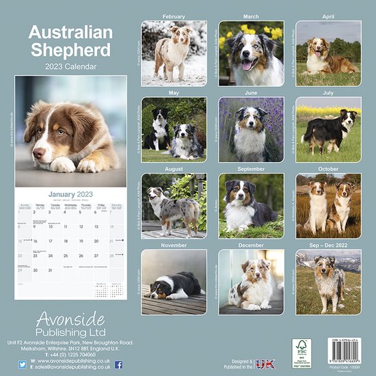 Australian Shepherds Kalender 2023 | bol.com