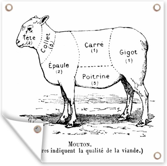 Tuindoek Illustratie met het slagersdiagram van een schaap - 100x100 cm ...