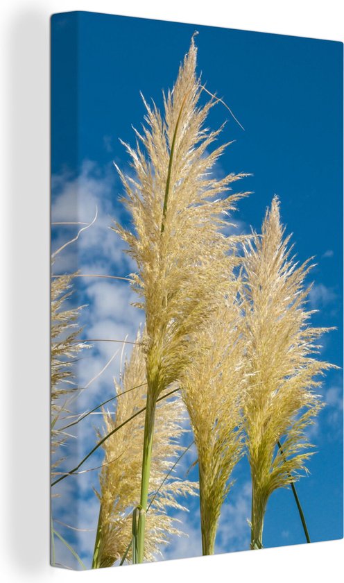 Canvas Schilderij Planten - Pampasgras - Lucht - 20x30 cm - Wanddecoratie | bol