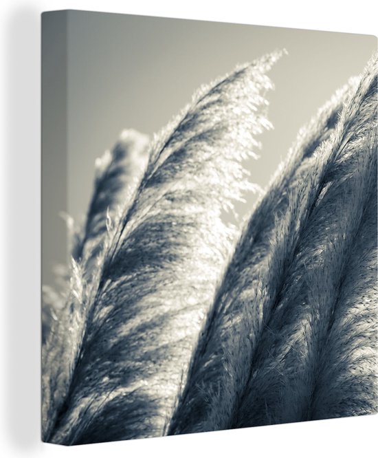 Canvas Schilderij Pampasgras - Zwart - Wit - Natuur - 20x20 cm - Wanddecoratie | bol