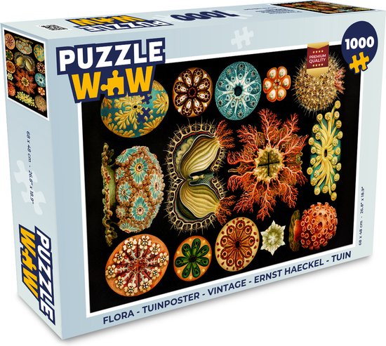 Puzzel Vintage - Ernst Haeckel - Zeedier - Natuur - Zee - Kunst ...