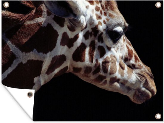 Fermer la vue affiche de jardin tête de girafe toile en vrac 40x30 cm ...