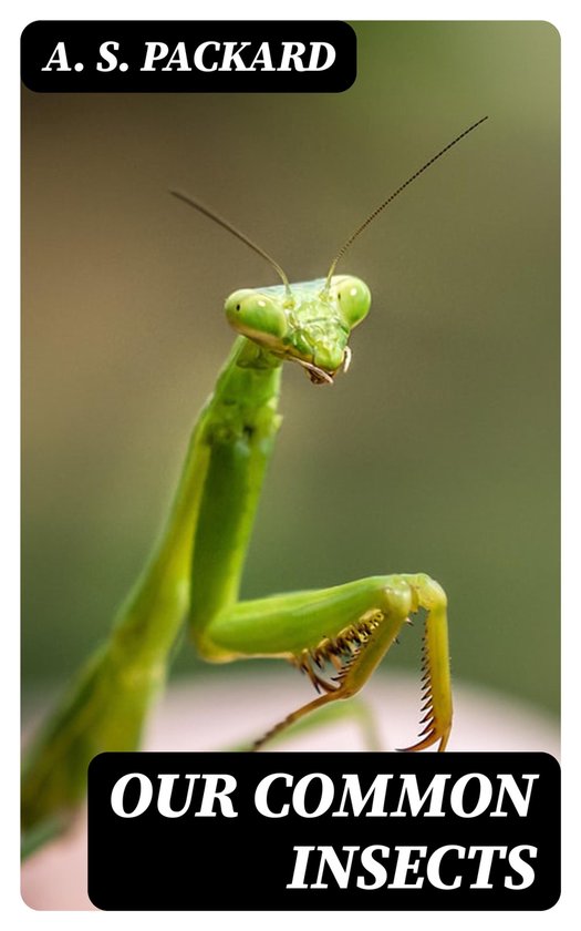 Our Common Insects (ebook), A. S. Packard | 8596547381327 | Boeken ...