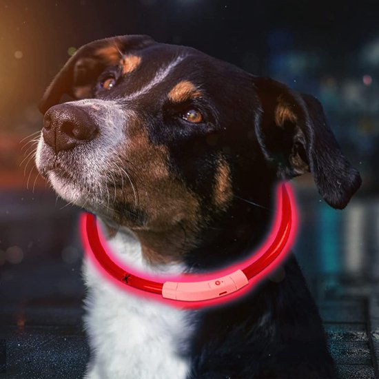 Doodadeals® Lichtgevende Halsband Hond - USB Oplaadbaar - Rood - 60 ...