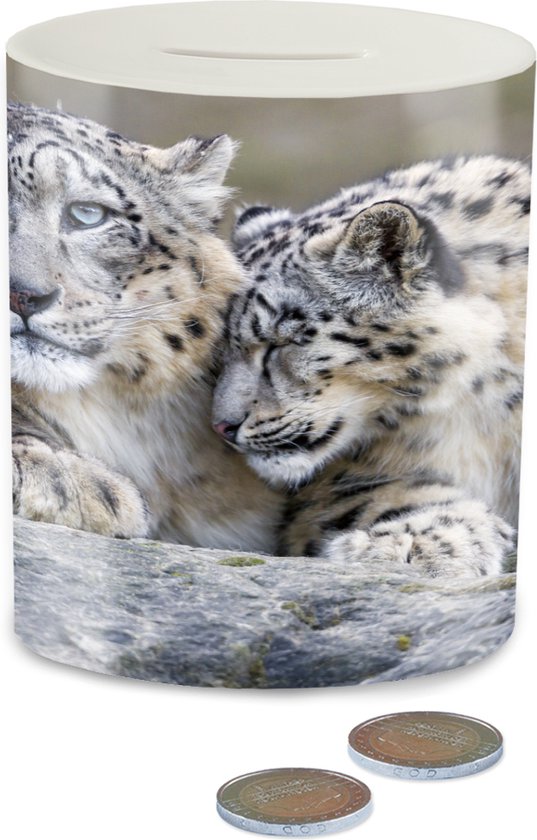 Spaarpot - Spaarblik - Panters - Steen - Knuffel - Spaarpotten ...