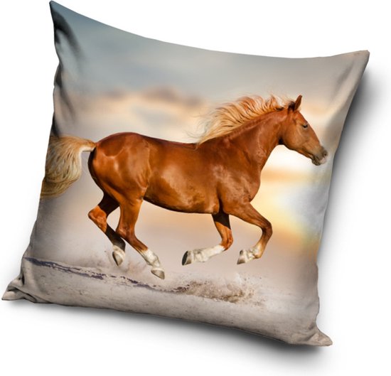 KD® - Bruine Paard over het Zand Sierkussens - Kussen - 40 x 40 ...
