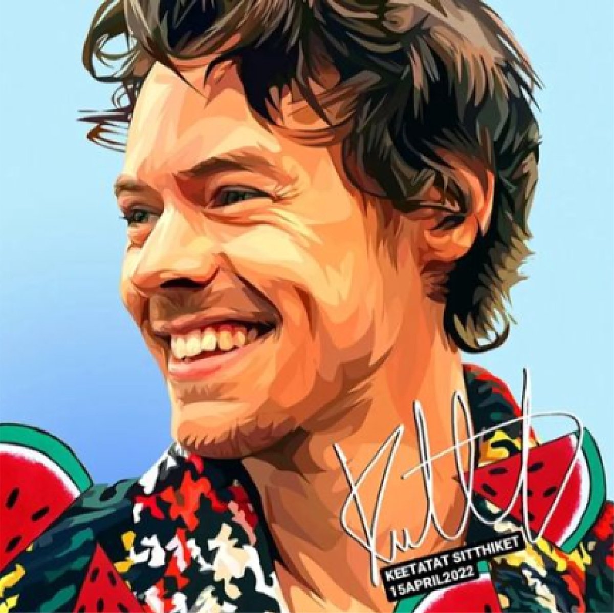 HARRY STYLES pop art schilderij | bol.com