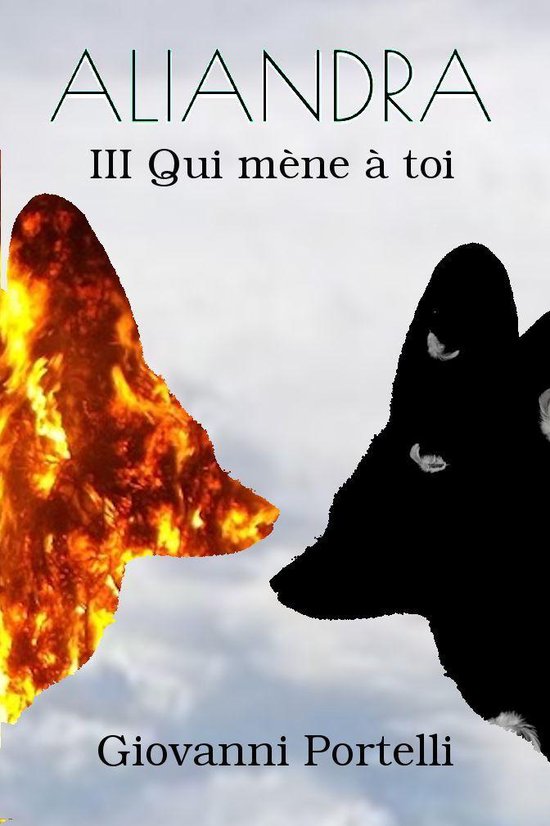 Aliandra III (ebook), Giovanni Portelli | 1230003930007 | Boeken | bol.com