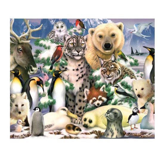 King Puzzel 1000 Stukjes (68 x 49 cm) - Artic Life - Legpuzzel - Dieren ...