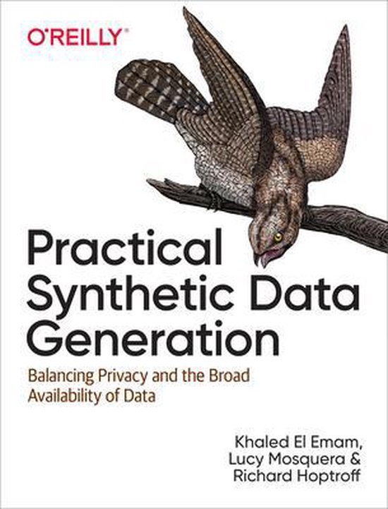 Practical Synthetic Data Generation | 9781492072744 | Khaled El Emam | Boeken | bol.com