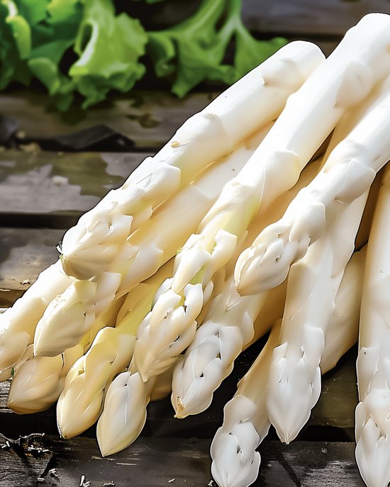 Asperge Zaden Argenteuil Asparagus Officinalis Meerjarig | bol