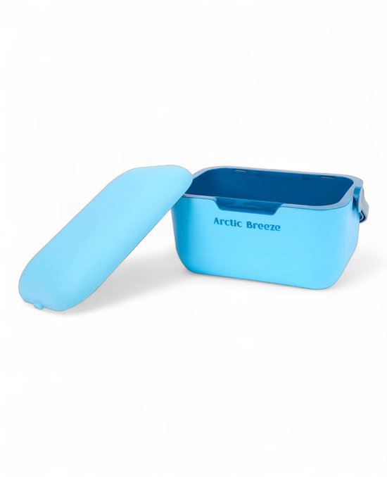 Mini koelbox - coolbox 5L - polypropyleen - L30 x H21 x 17.5cm - Blauw ...