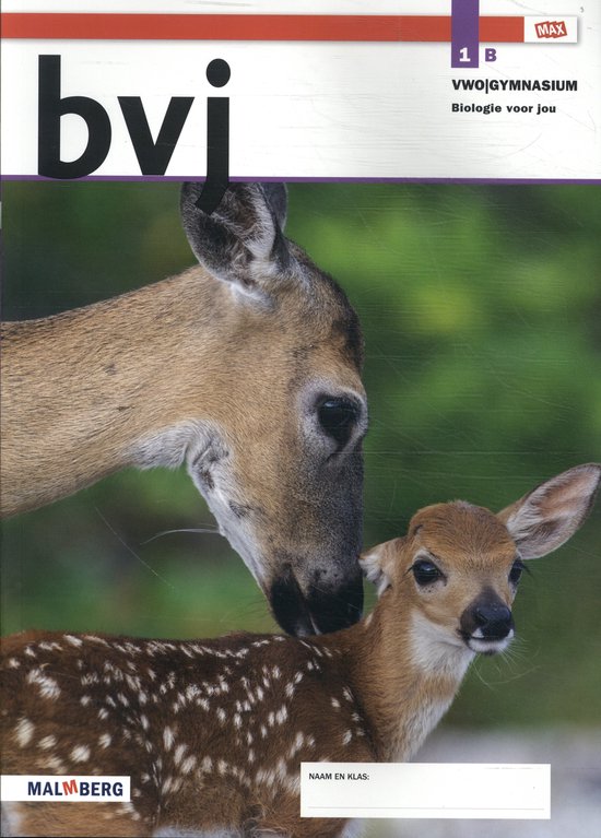 bvj Max 1 vwo/gymnasium B | 9789402068405 | Boeken | bol