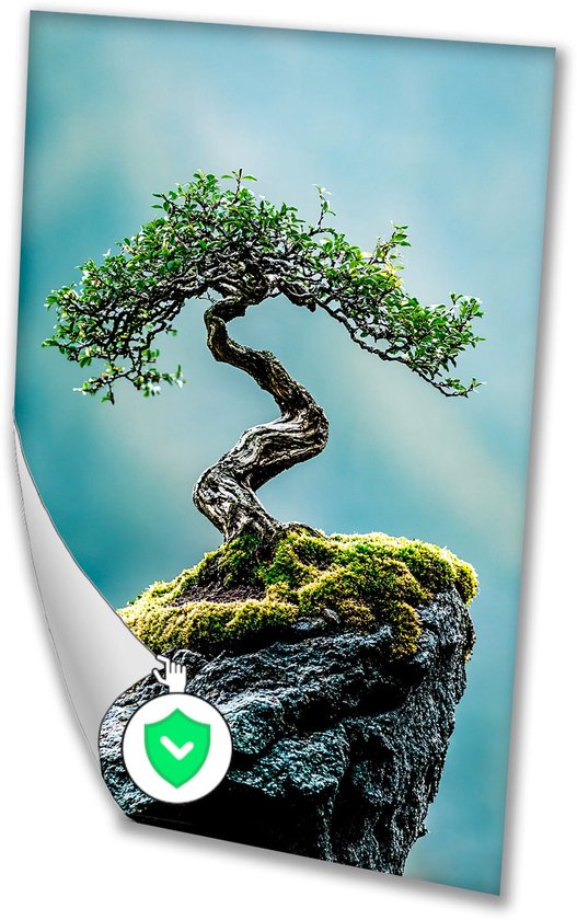 Bonsai op rots met mos - Bonsai poster - Wanddecoratie boom - Minimalisme - Vintage... | bol