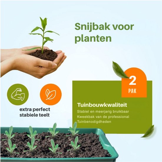 2 Stuks Zaaibak Zonder Bodemgaten – Plantentray 58x33x11 Cm – Stabiele ...