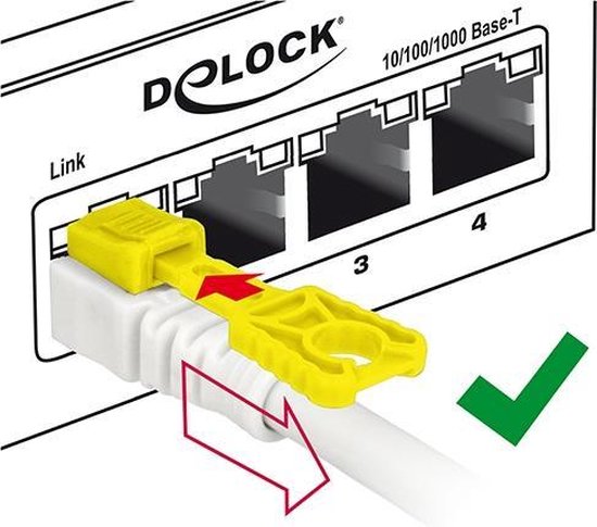 Delock CAT 6a kabel met vergrendelbare pluggen, 3 meter | bol