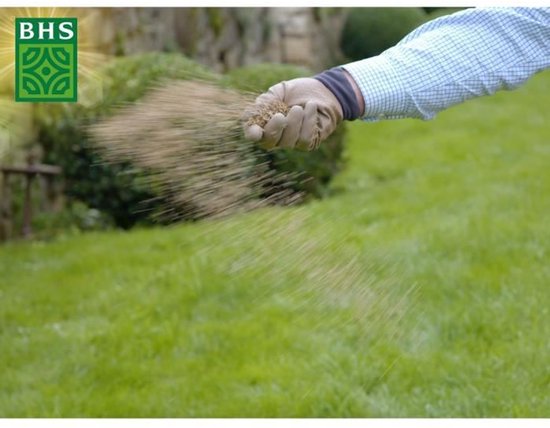 BHS Engels gras - 3kg voor Premium tuinen | bol