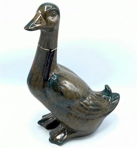 Riga Eend Groen 32x42 | bol