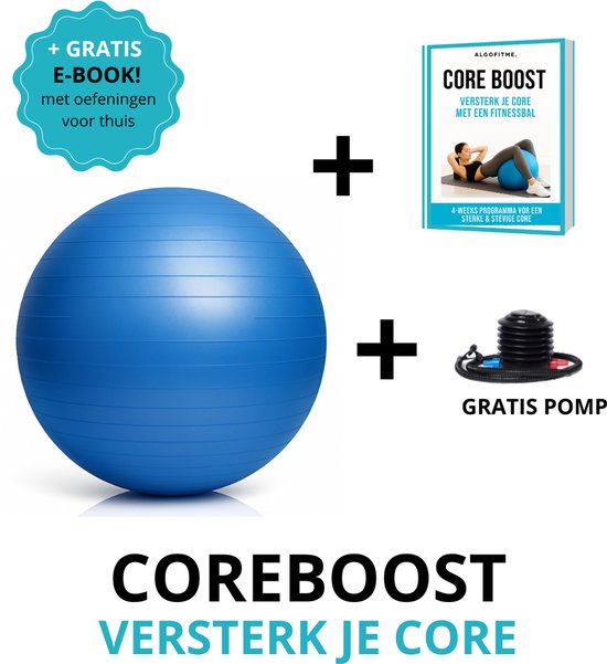 Fitnessbal 65 cm met Pomp – Anti-Burst – Inclusief Gratis Oefeningen ...
