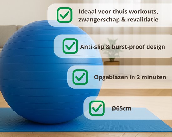 Fitnessbal 65 cm met Pomp – Anti-Burst – Inclusief Gratis Oefeningen ...