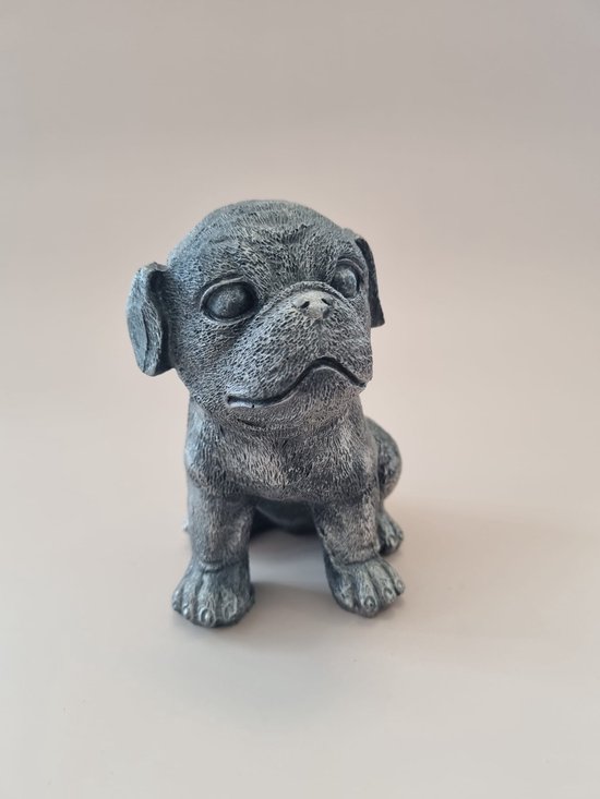 Urn hond - oud zilver - 225 ml | bol