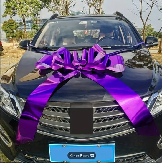 B & T Goods Grote paarse strik - Auto decoratie - Cadeauverpakking | bol