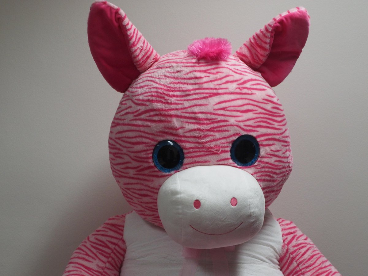 Mega knuffel | Grote knuffel | Ezel knuffel | Pluche 180 cm | | bol.com