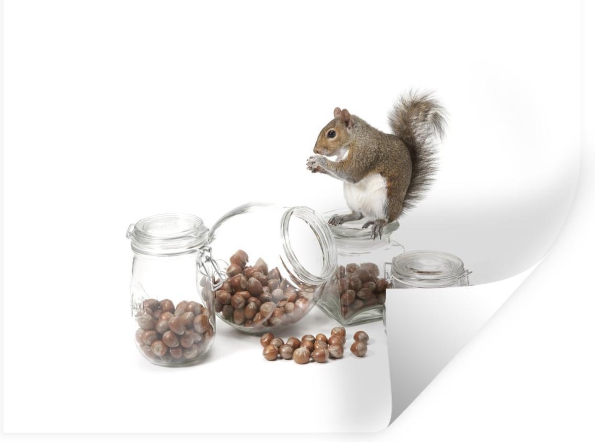 Sticker Muursticker Ecureuil sur fond blanc - Ecureuil avec bocaux et ...