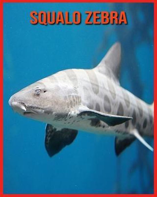 Squalo Zebra, Laura Musso | 9798714369810 | Boeken | bol.com